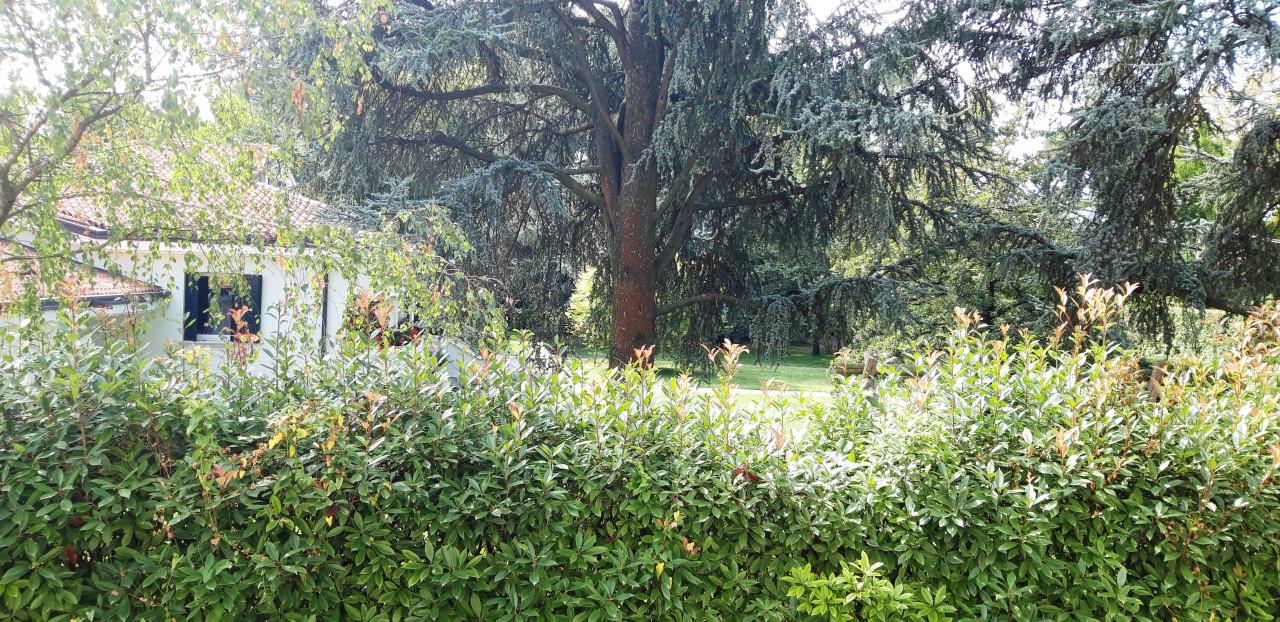 Villa in vendita a Padova