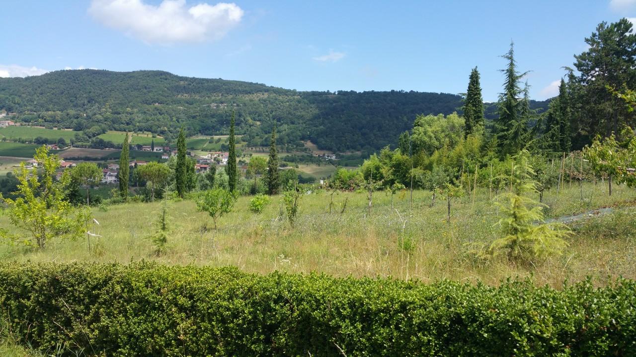 Terreno edificabile residenziale in vendita a Brendola