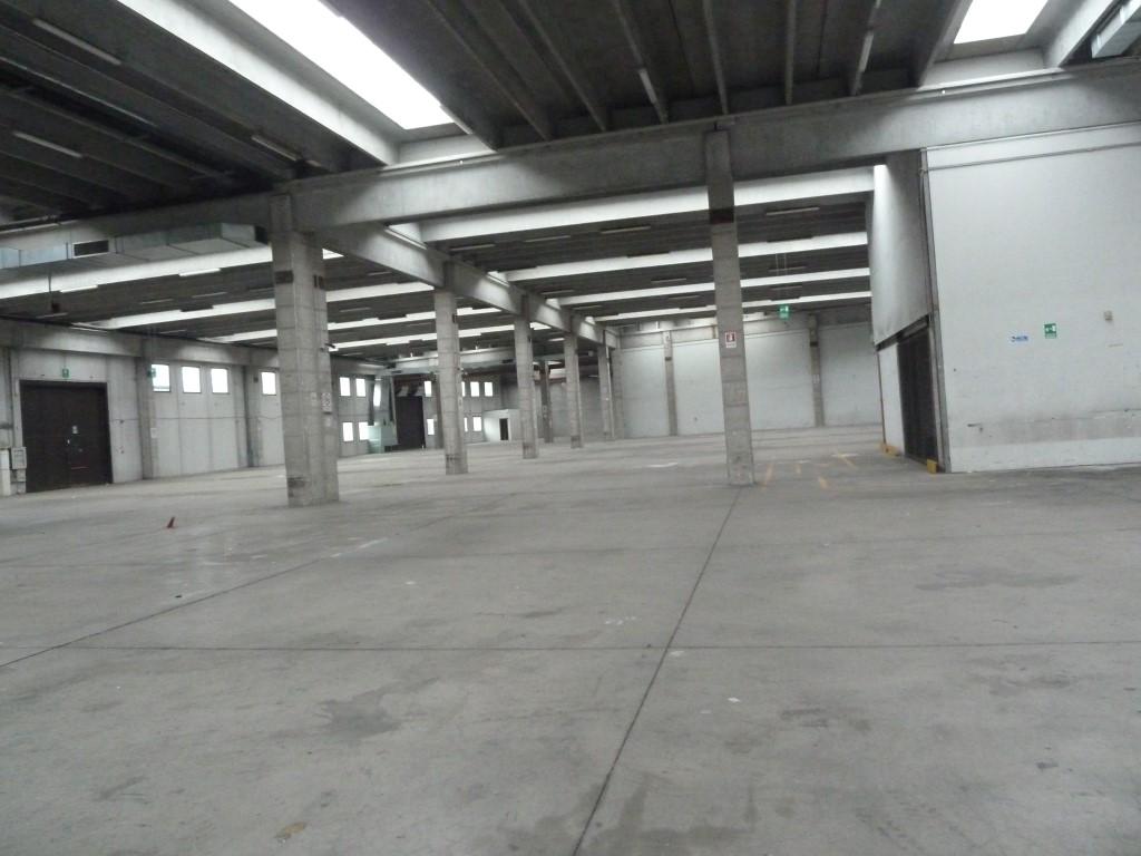 Capannone in affitto a Treviso