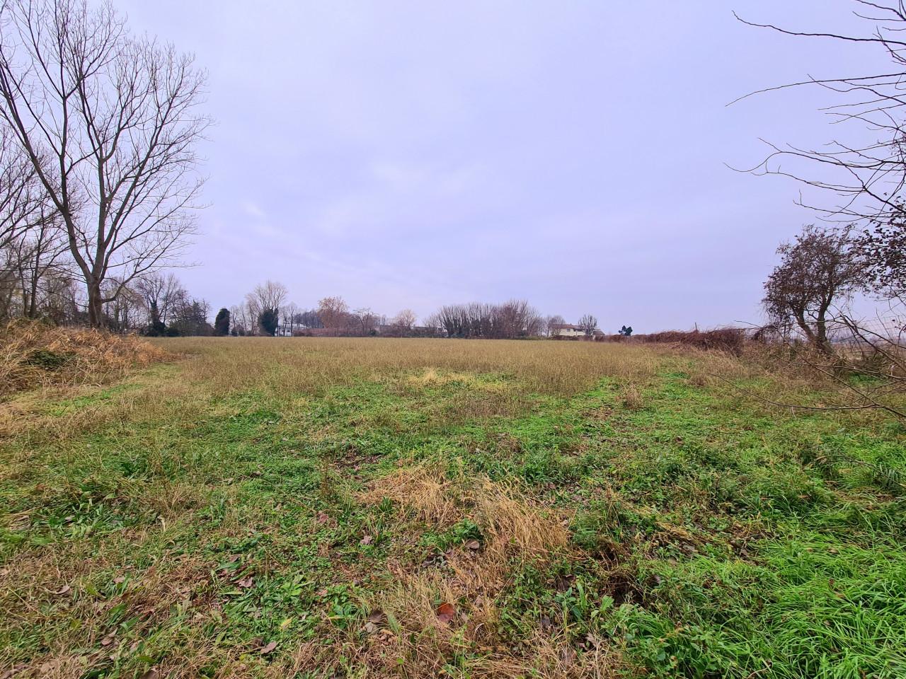 Terreno edificabile residenziale in vendita a Ospedaletto Euganeo
