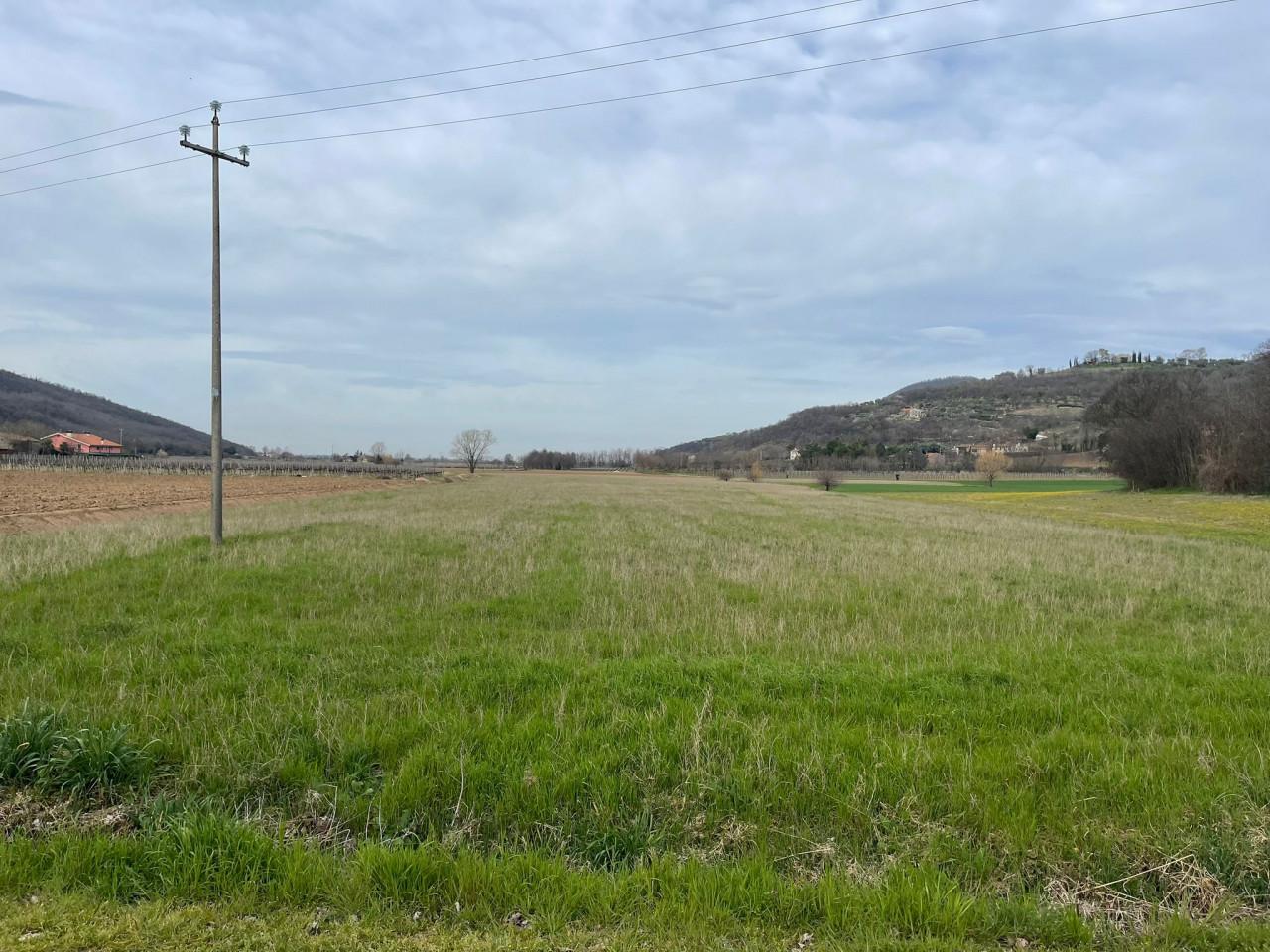 Terreno agricolo in vendita a Baone