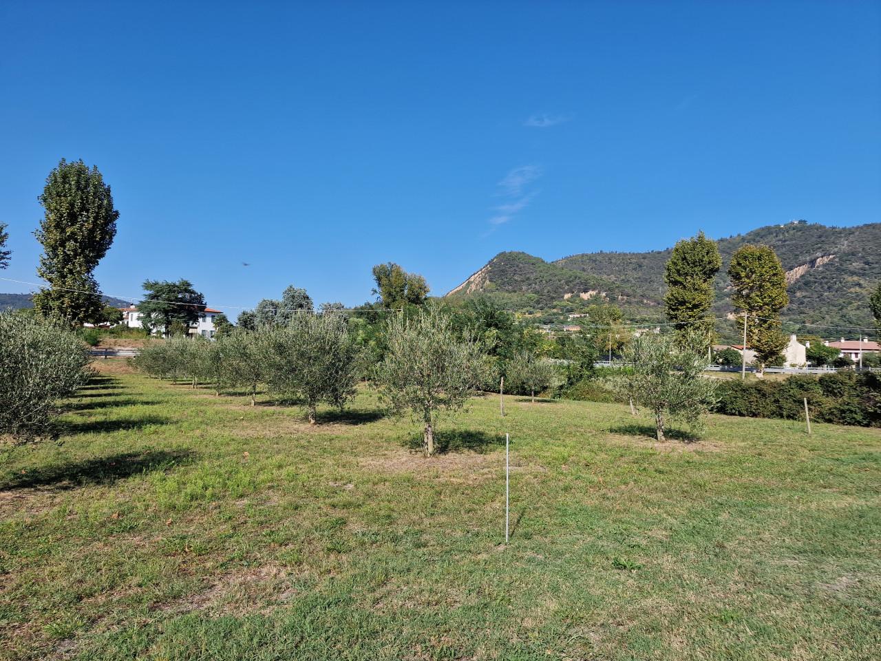 Terreno edificabile residenziale in vendita a Baone