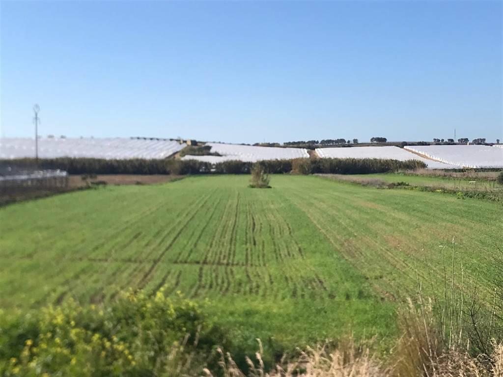 Terreno agricolo in vendita a Noto