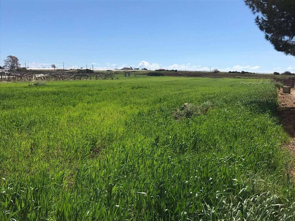 Terreno agricolo in vendita a Pachino