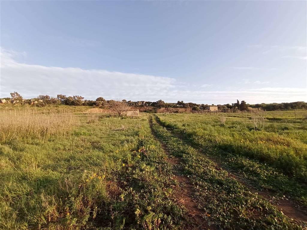 Terreno agricolo in vendita a Pachino