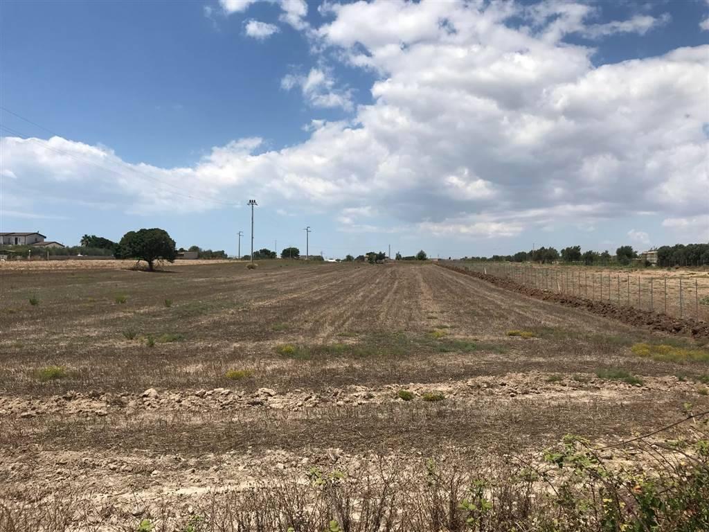 Terreno agricolo in vendita a Noto