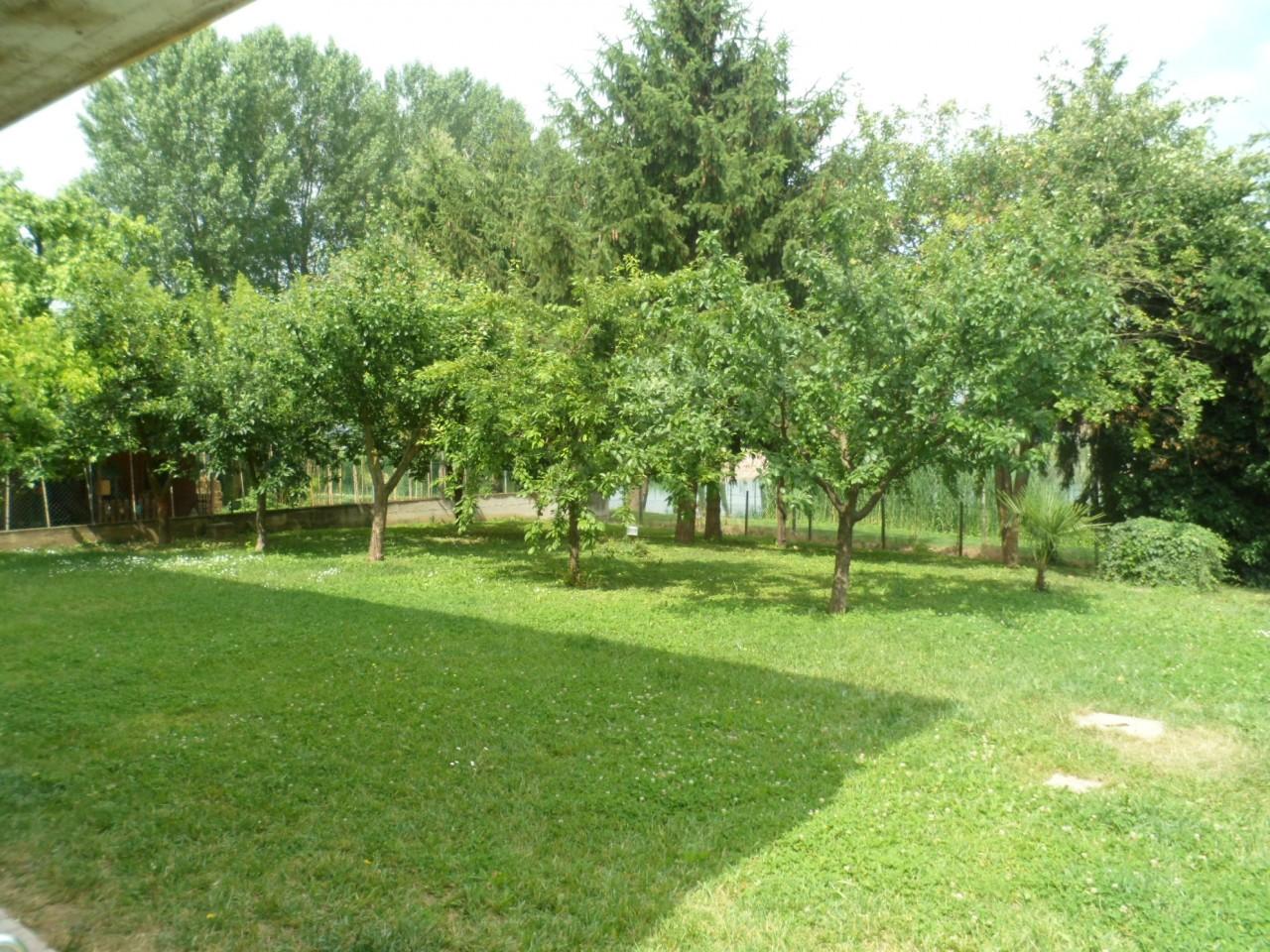 Casa indipendente in vendita a Torri Di Quartesolo