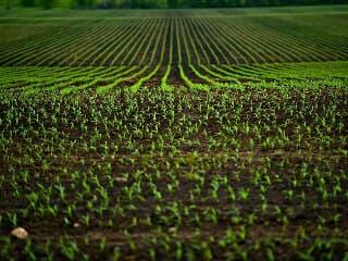 Terreno agricolo in vendita a Teolo