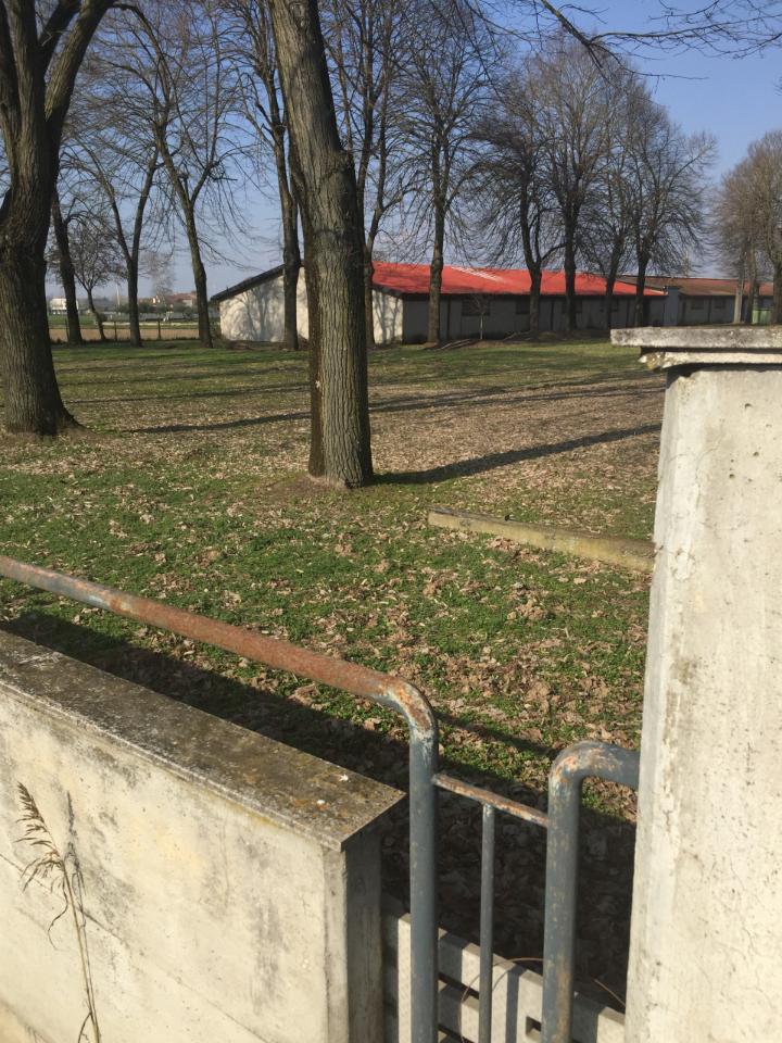 Terreno edificabile produttivo in vendita a Ospedaletto Euganeo