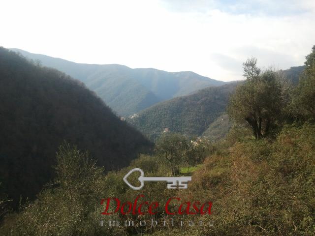 Terreno edificabile residenziale in vendita a Avegno
