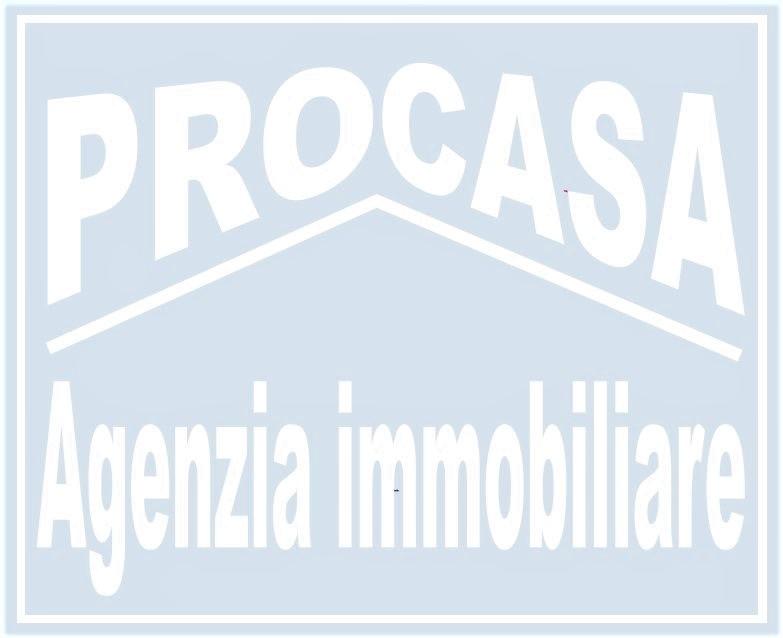 Negozio in affitto a Cavezzo