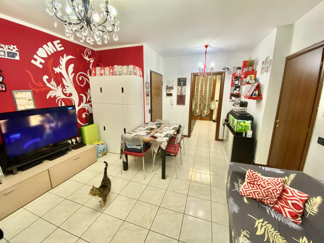 Appartamento in vendita a Medolla