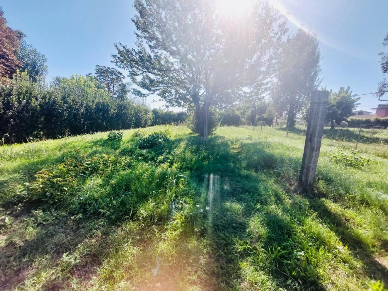 Appartamento in vendita a Pietrasanta