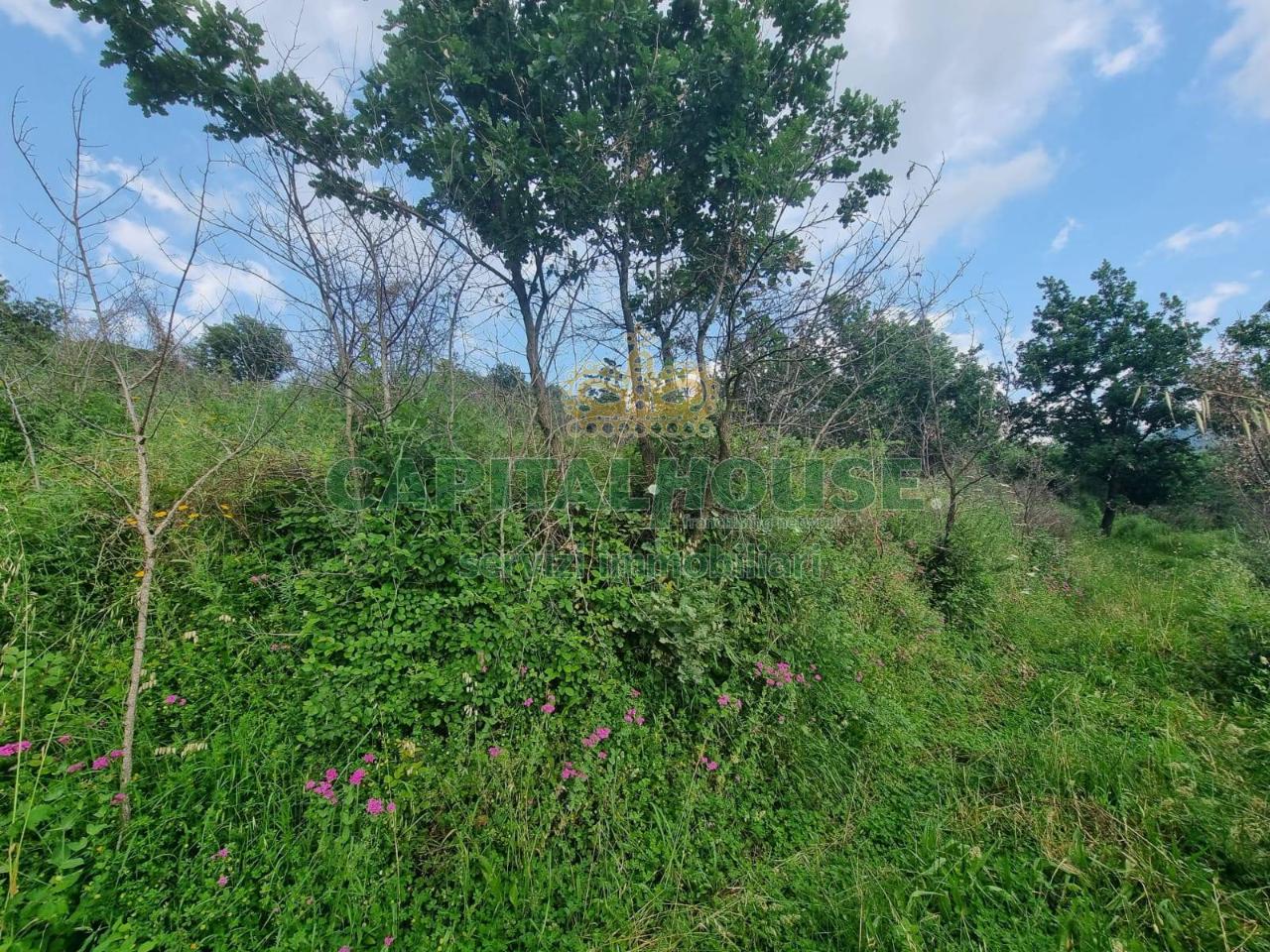 Terreno agricolo in vendita a Montoro