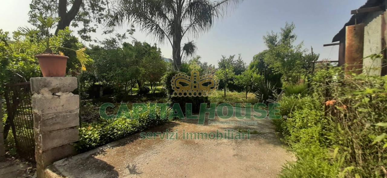 Casa indipendente in vendita a Montoro