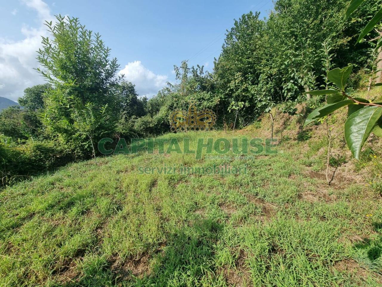 Terreno agricolo in affitto a Montoro