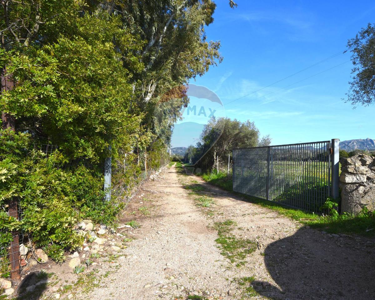 Terreno agricolo in vendita a Olbia