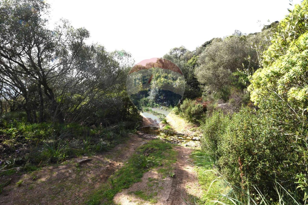 Terreno agricolo in vendita a Olbia
