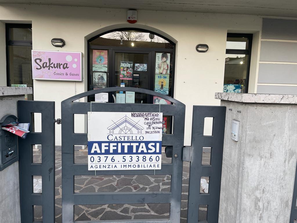 Negozio in affitto a Suzzara
