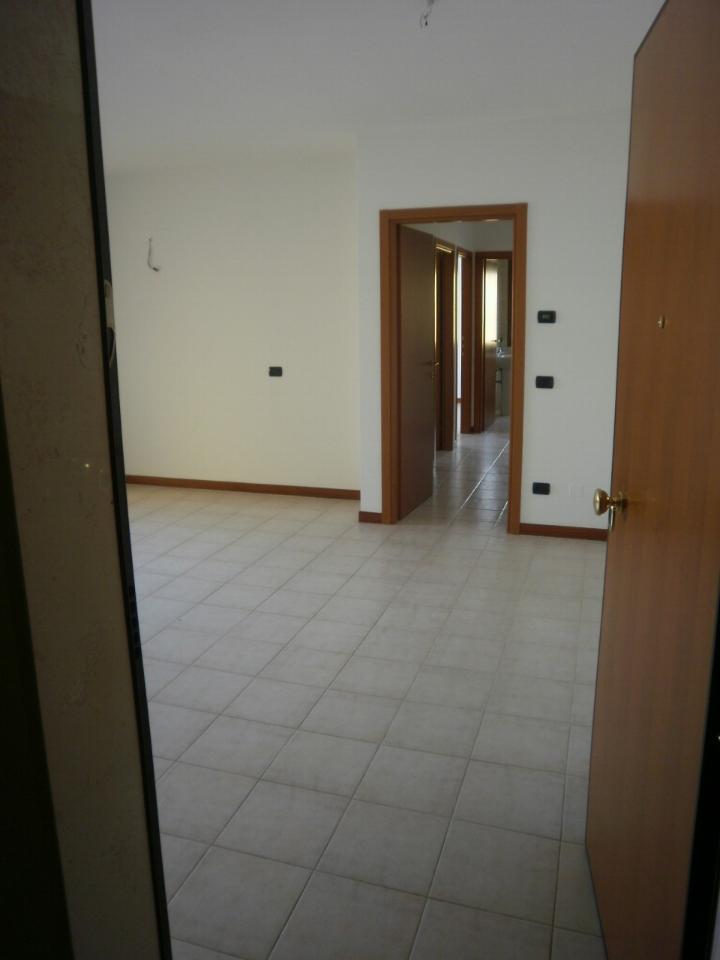 Appartamento in affitto a Suzzara