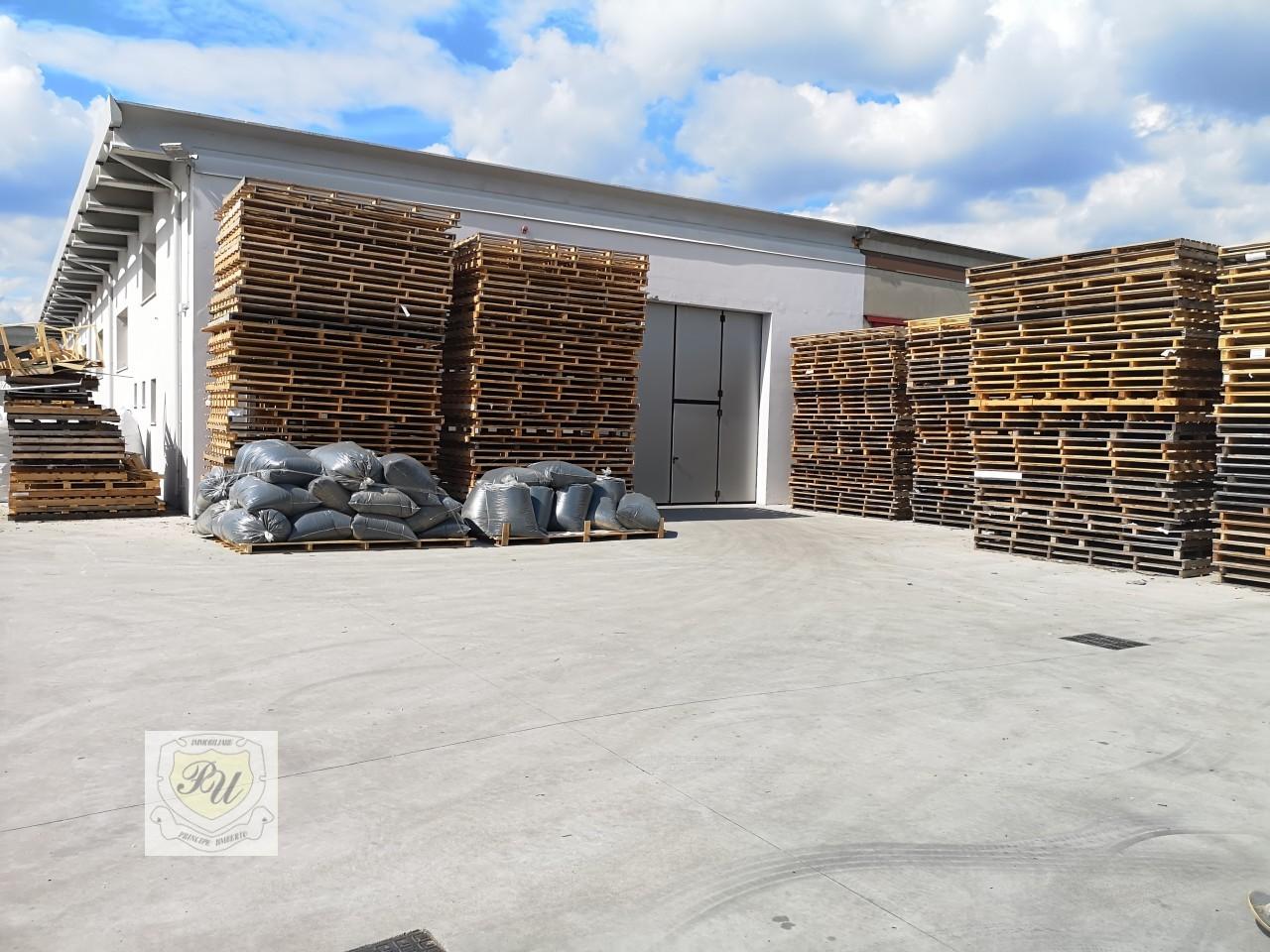 Capannone in affitto a Sant'Elena