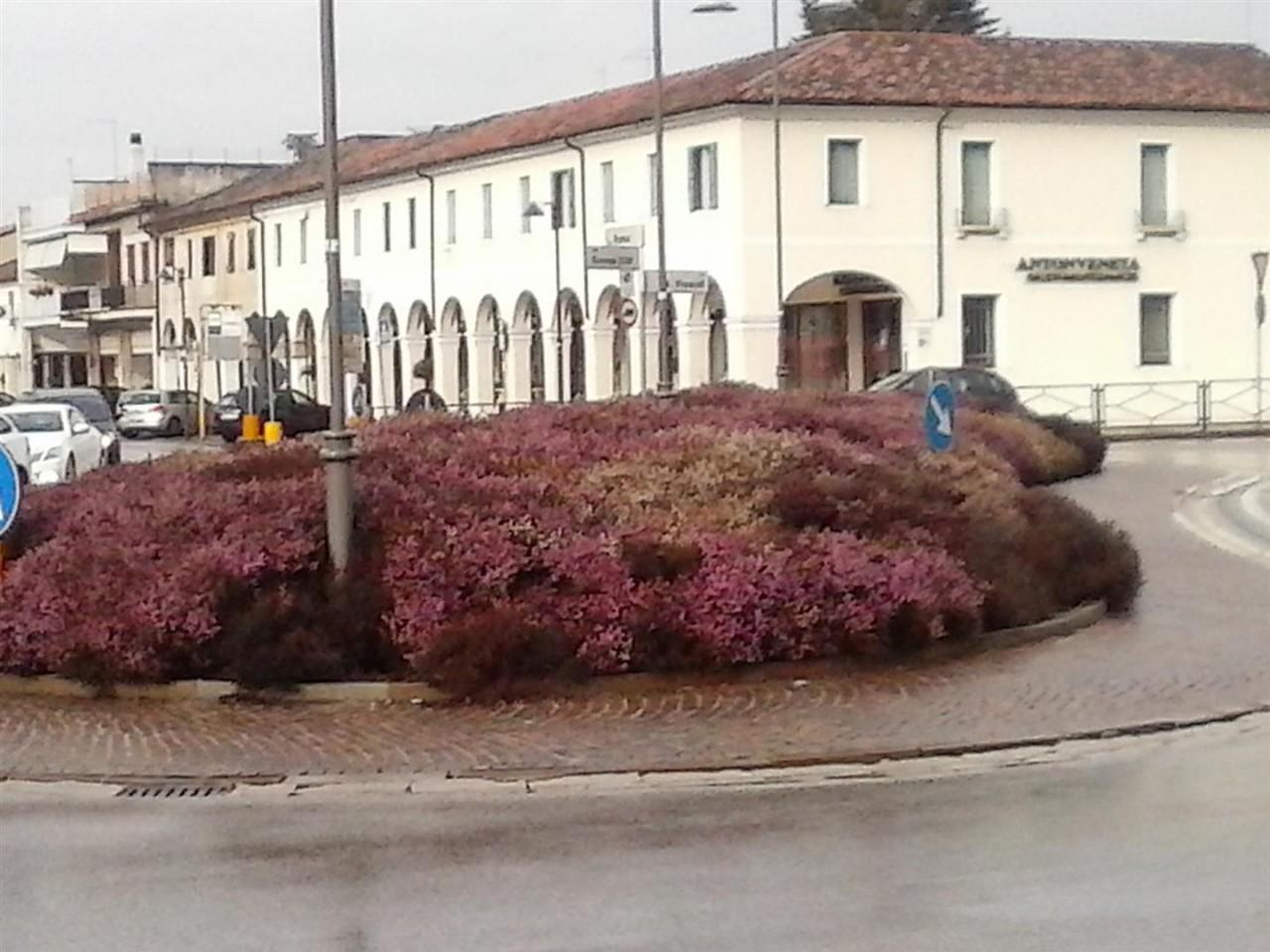 Casa indipendente in vendita a Roncade
