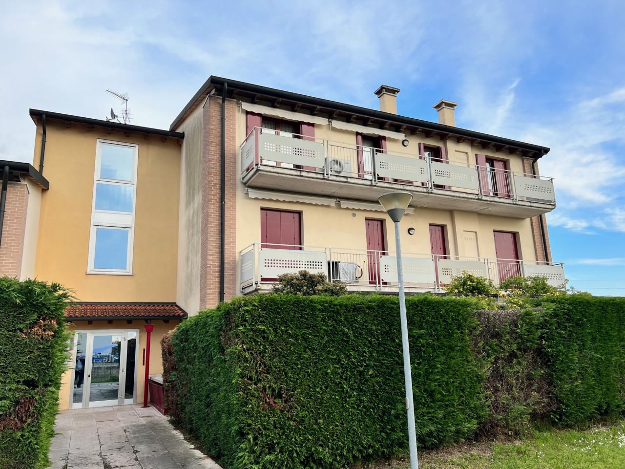 Appartamento in vendita a Lonigo