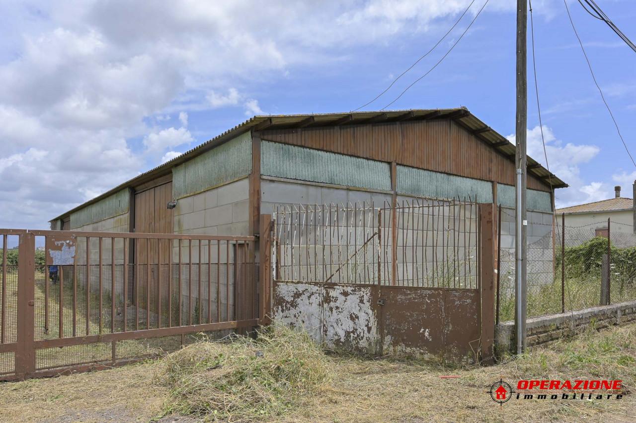 Capannone in vendita a Roma