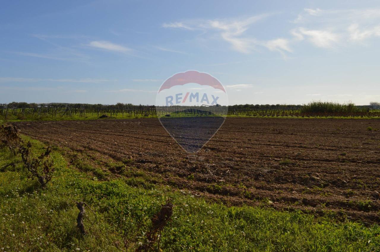 Terreno agricolo in vendita a Noto