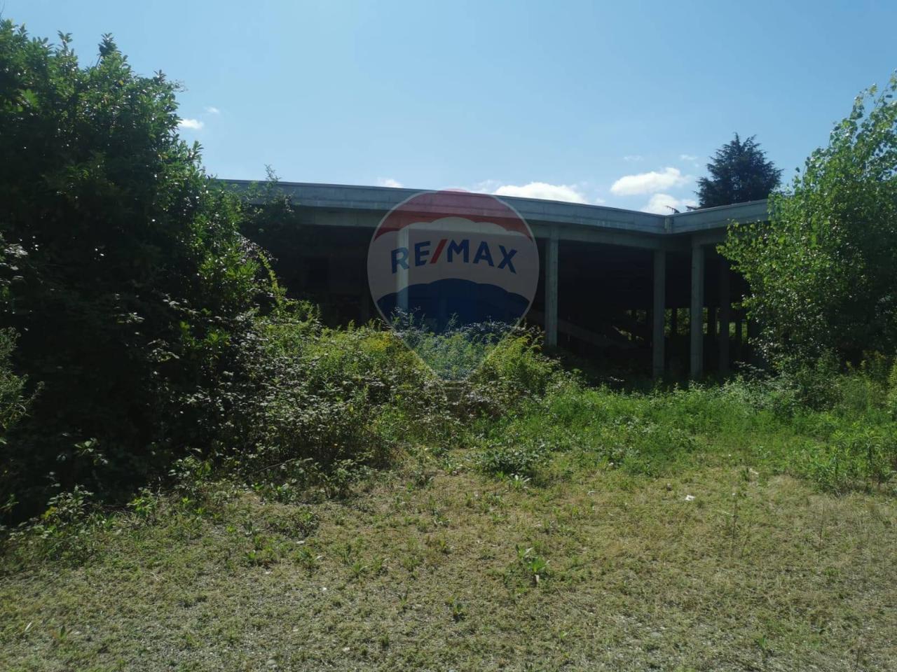 Negozio in vendita a Momo