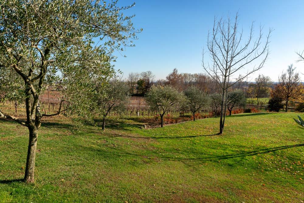 Terreno edificabile residenziale in vendita a Montebelluna