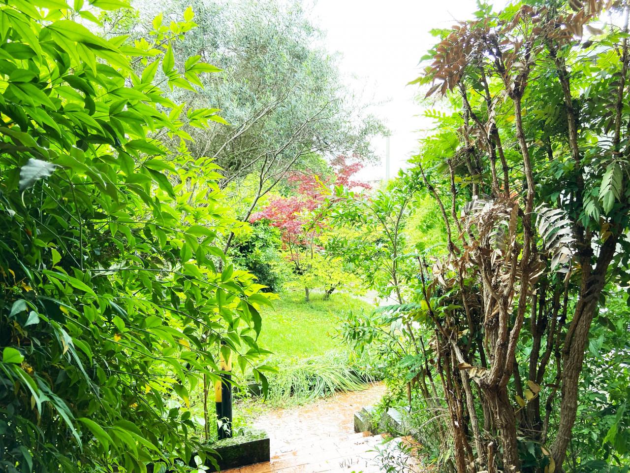 Casa indipendente in vendita a Trevignano