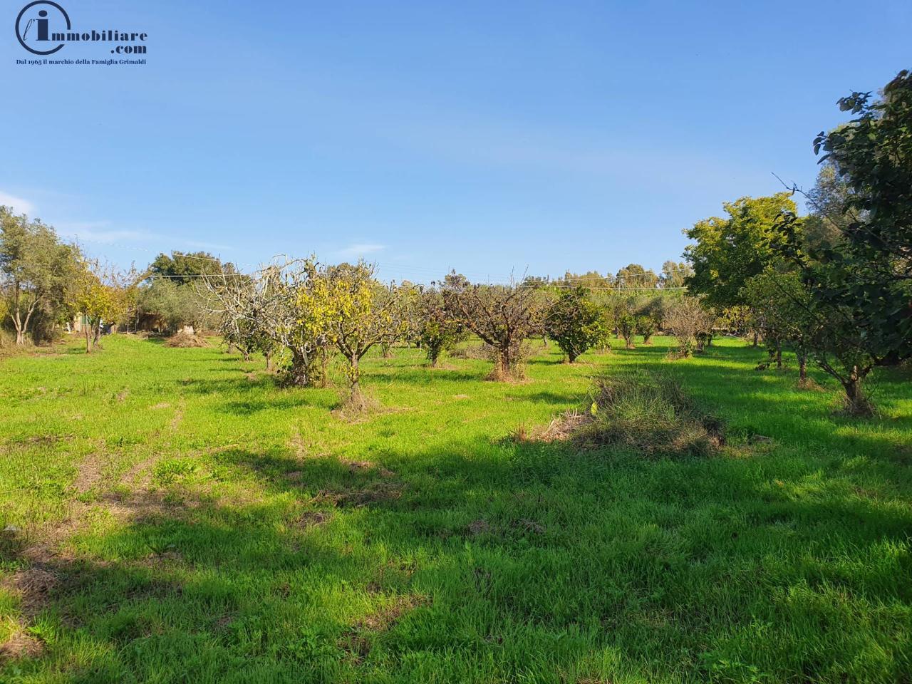 Terreno agricolo in vendita a Tortoli'