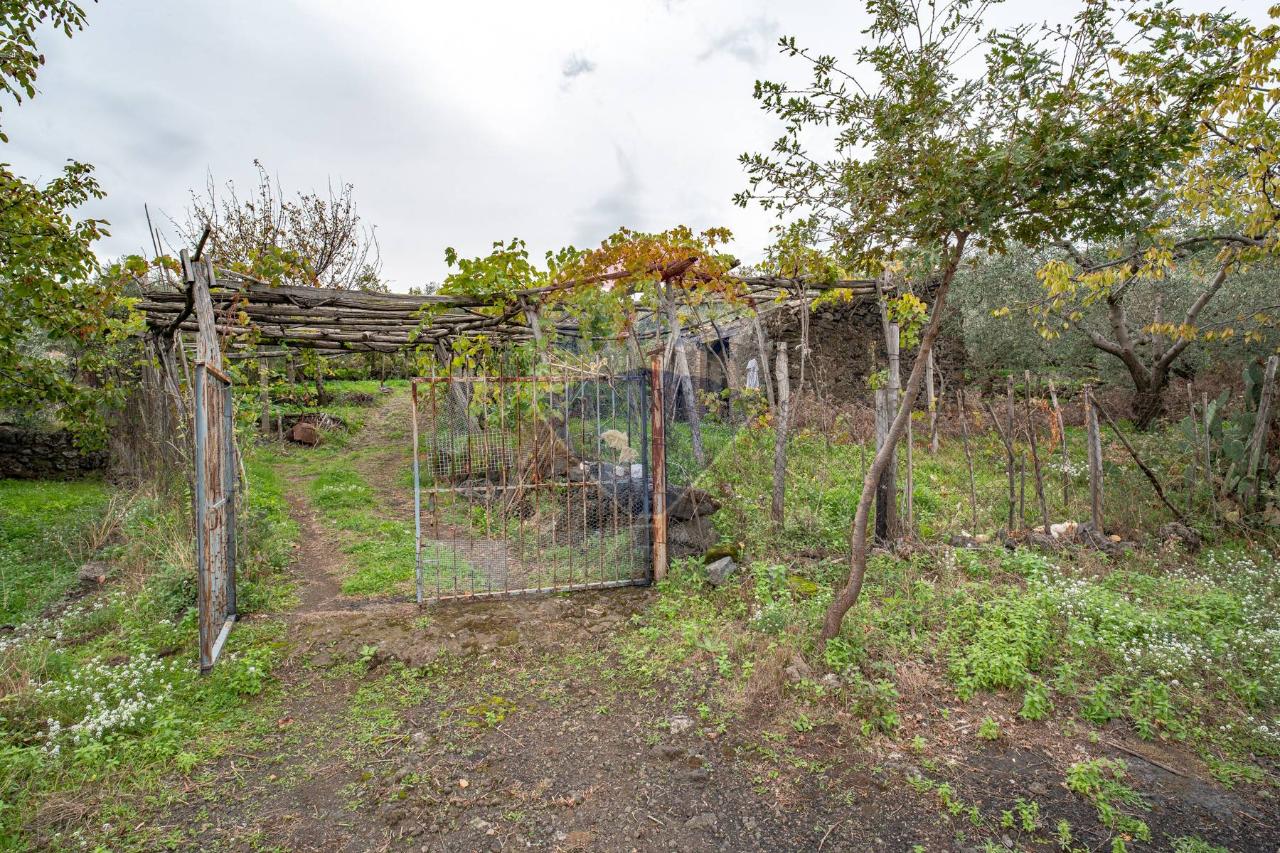 Terreno agricolo in vendita a Mascali