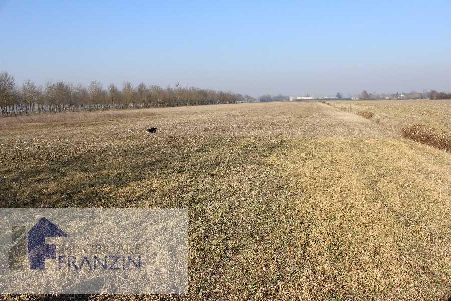 Terreno agricolo in vendita a Meolo