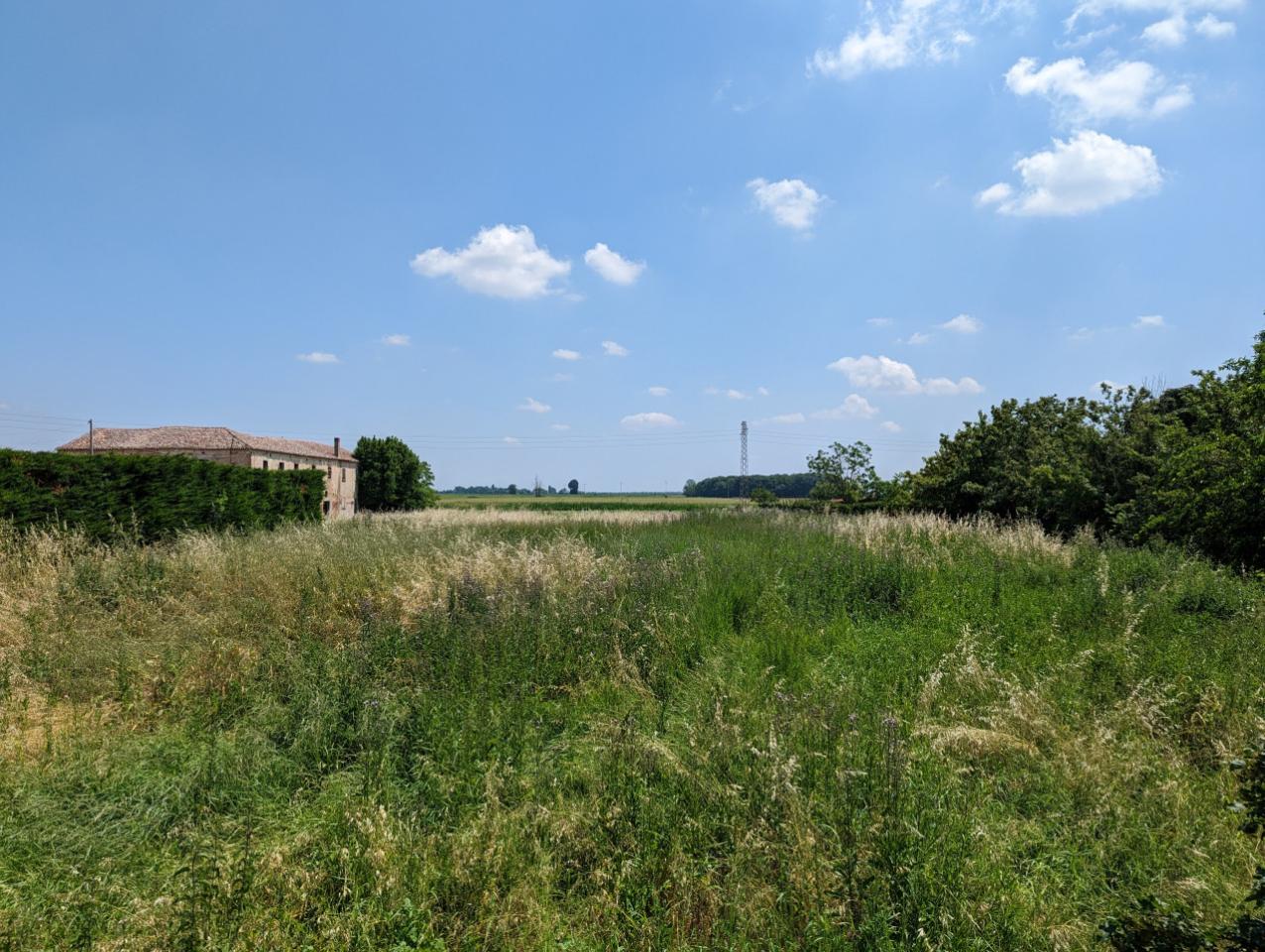 Terreno edificabile residenziale in vendita a Crespino