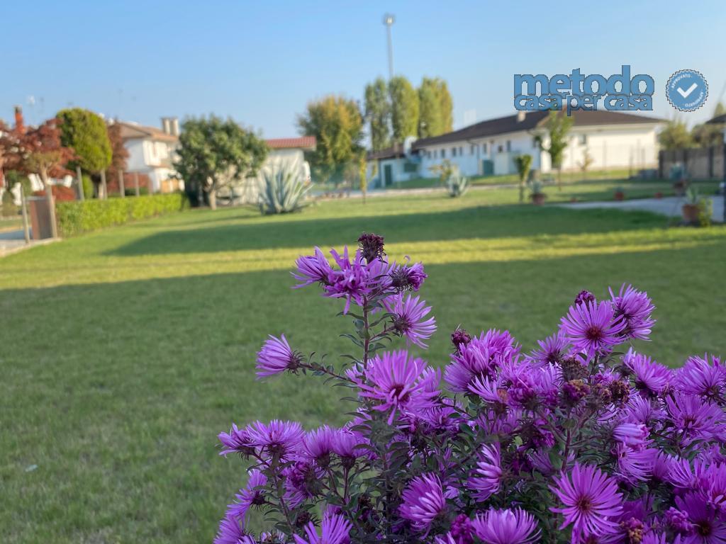 Terreno edificabile residenziale in vendita a Villadose