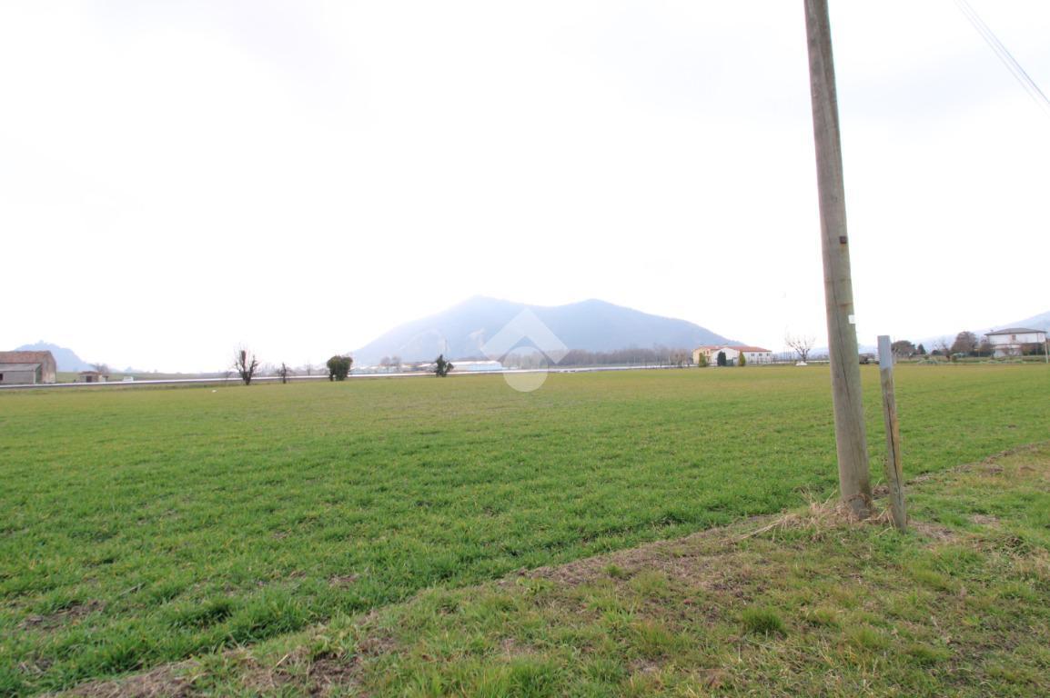 Terreno agricolo in vendita a Monselice