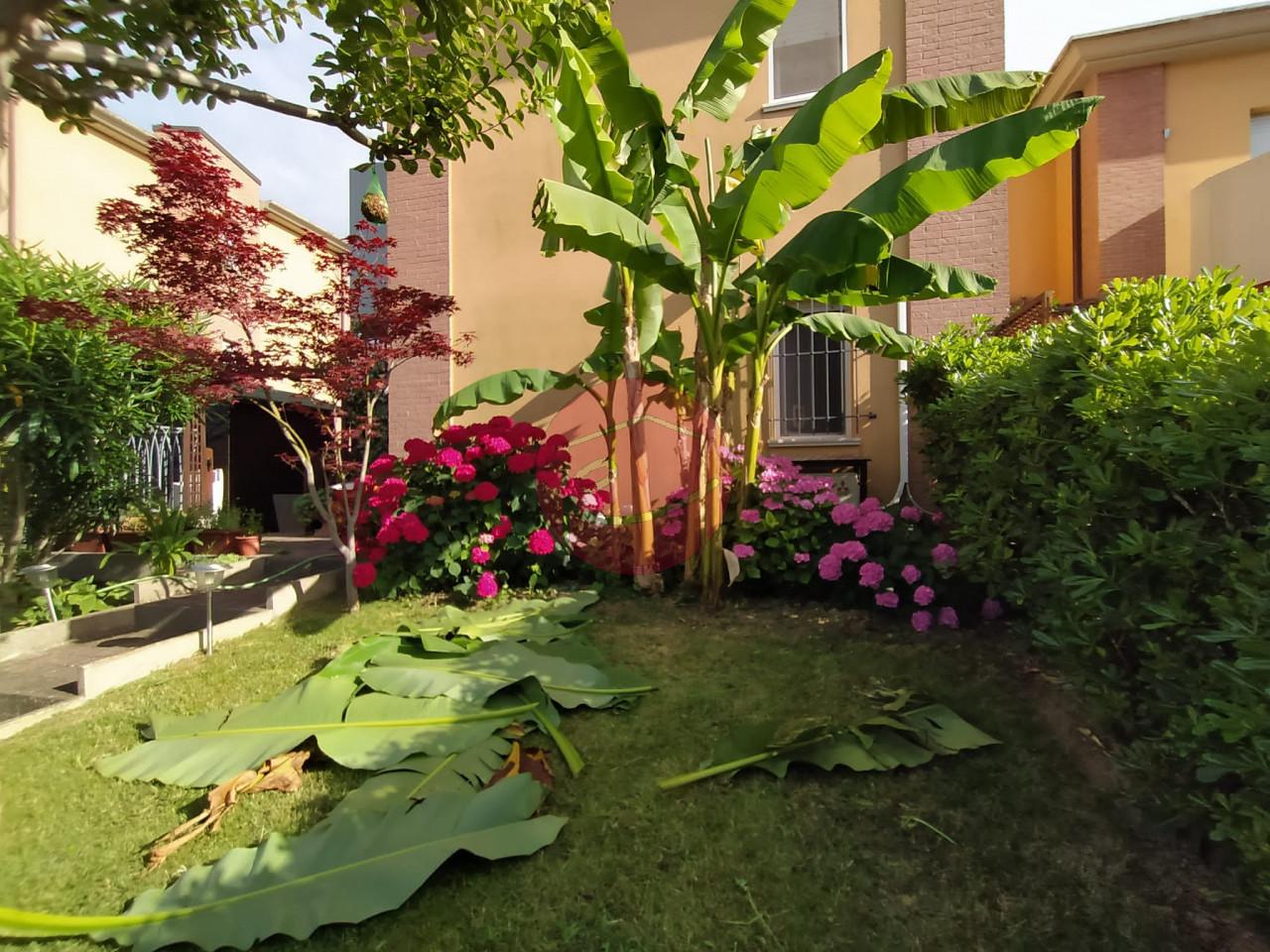 Appartamento in vendita a Santarcangelo Di Romagna