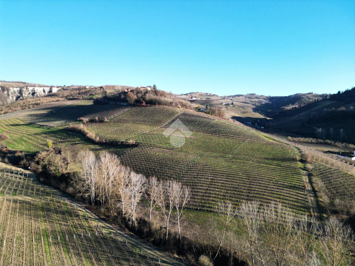 Terreno agricolo in vendita a Alba