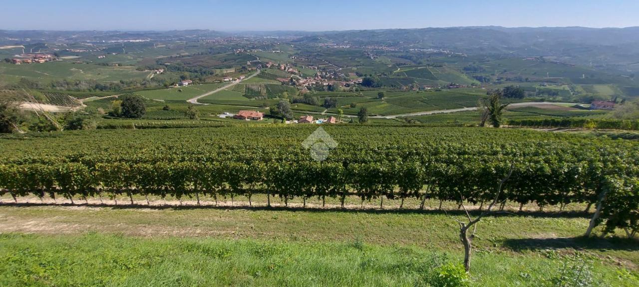 Terreno agricolo in vendita a La Morra