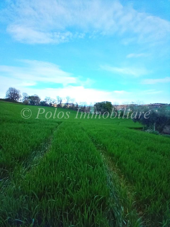 Terreno agricolo in vendita a Fermo