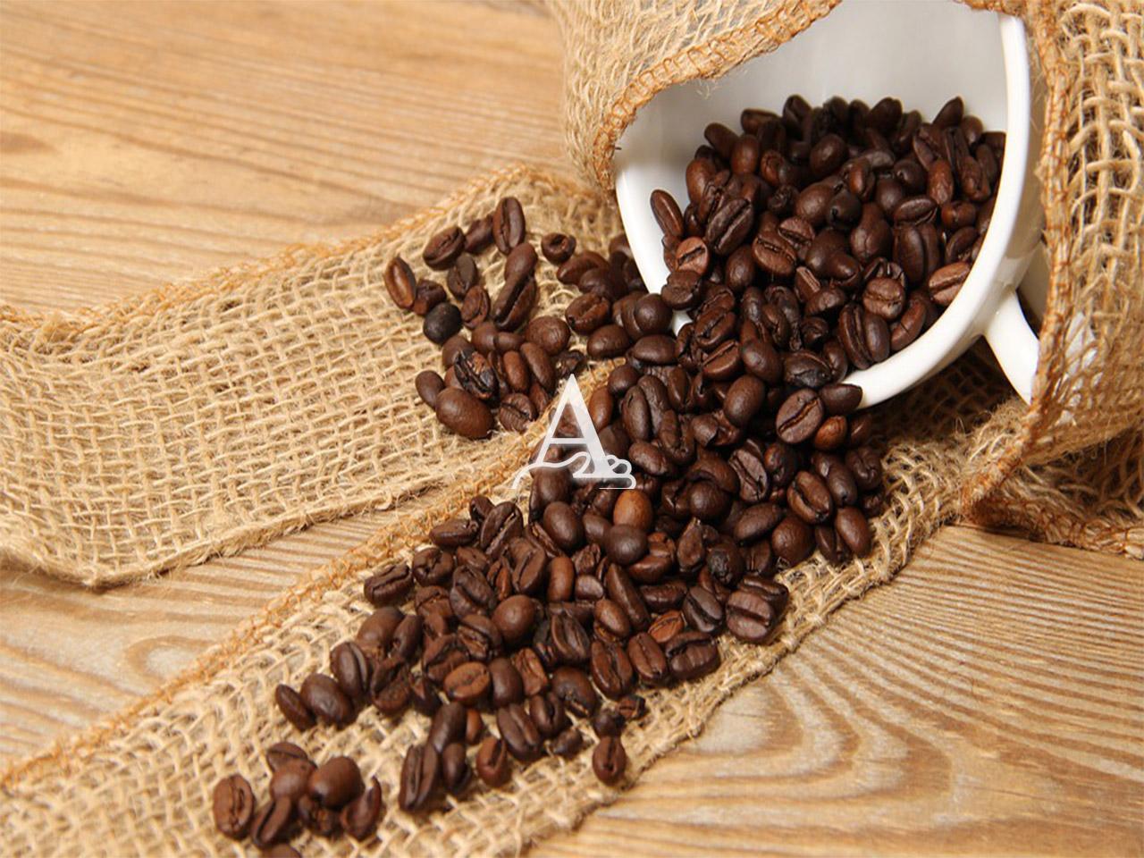 Negozio in vendita a Garda