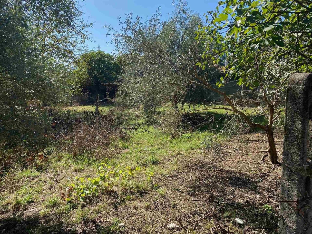 Terreno agricolo in vendita a Arce