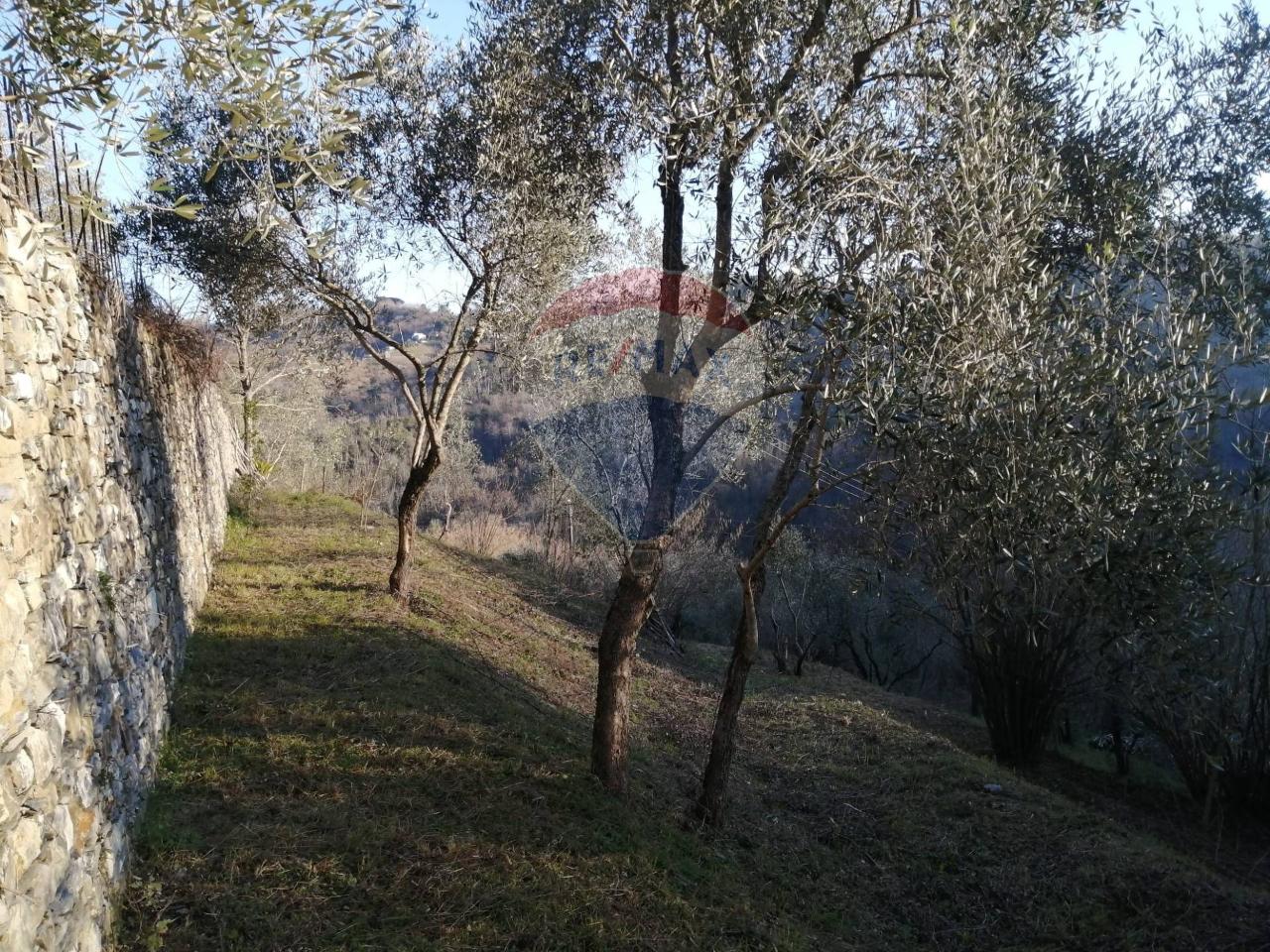 Terreno edificabile in vendita a San Colombano Certenoli