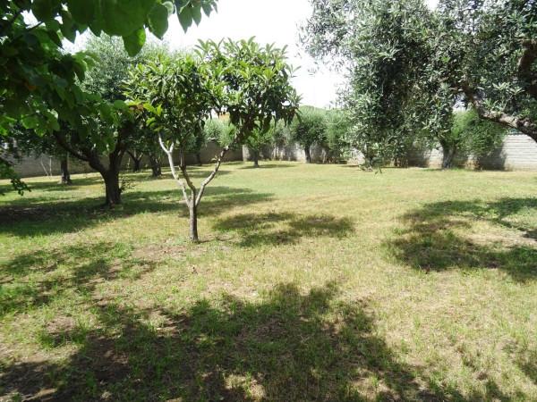 Terreno edificabile residenziale in vendita a Ardea