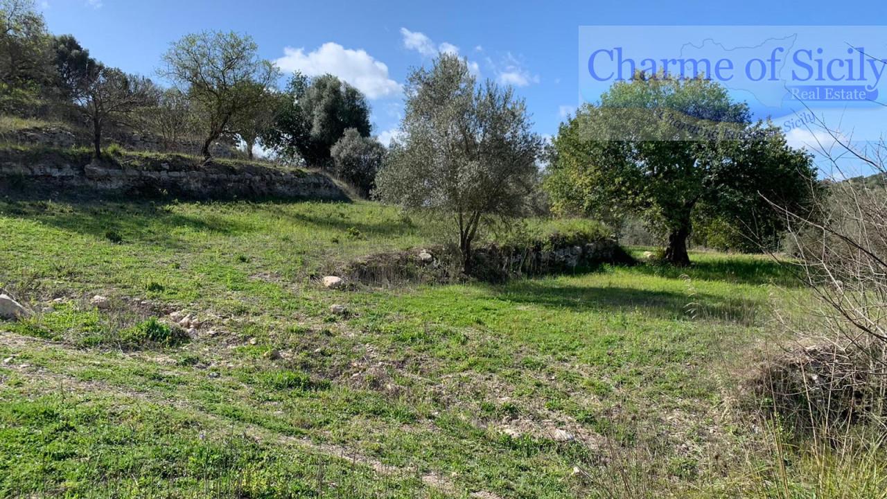 Terreno agricolo in vendita a Modica