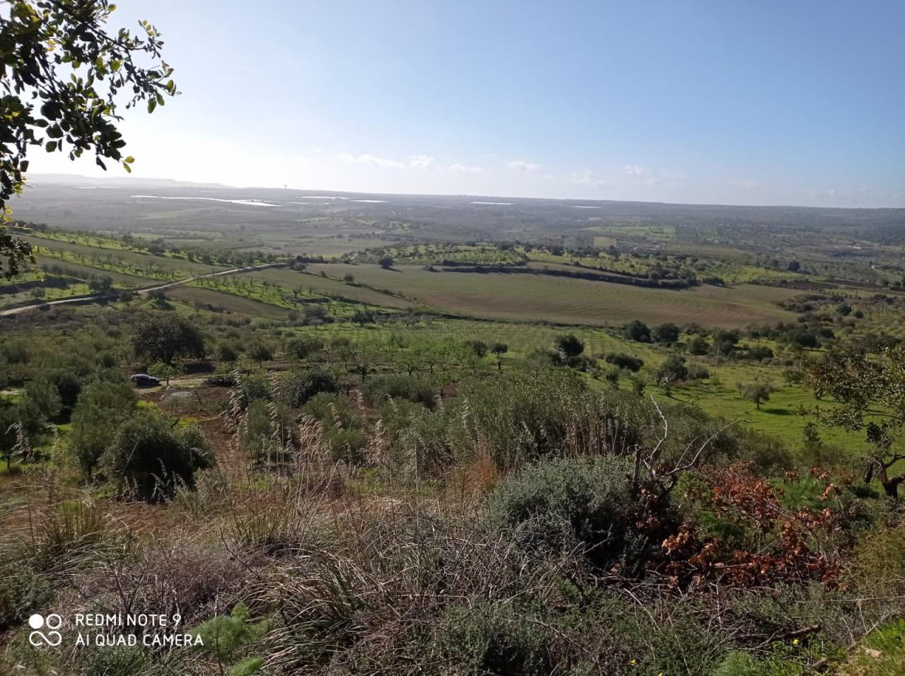 Terreno edificabile residenziale in vendita a Noto