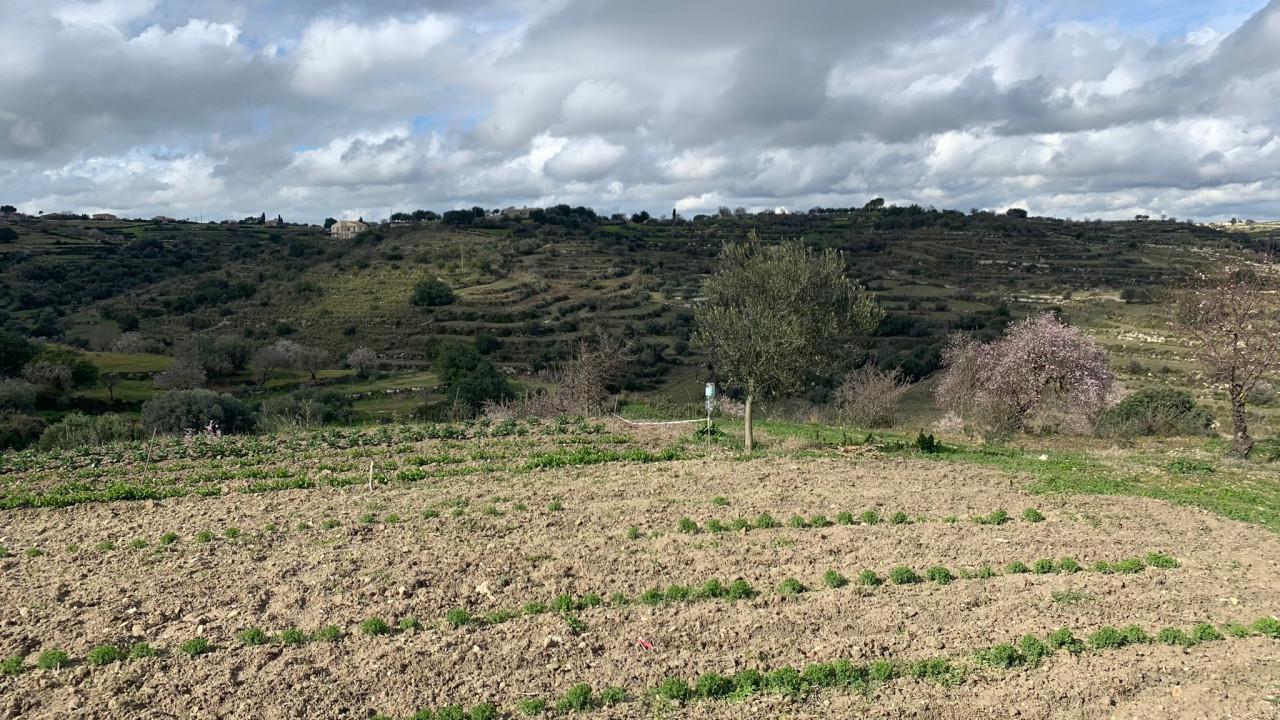 Terreno agricolo in vendita a Modica