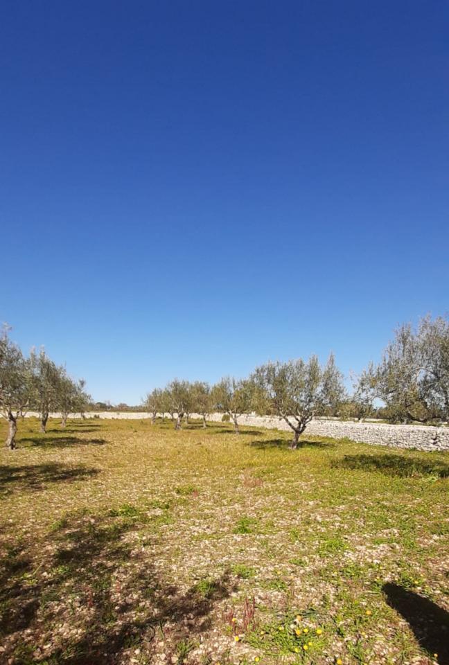 Terreno agricolo in vendita a Modica